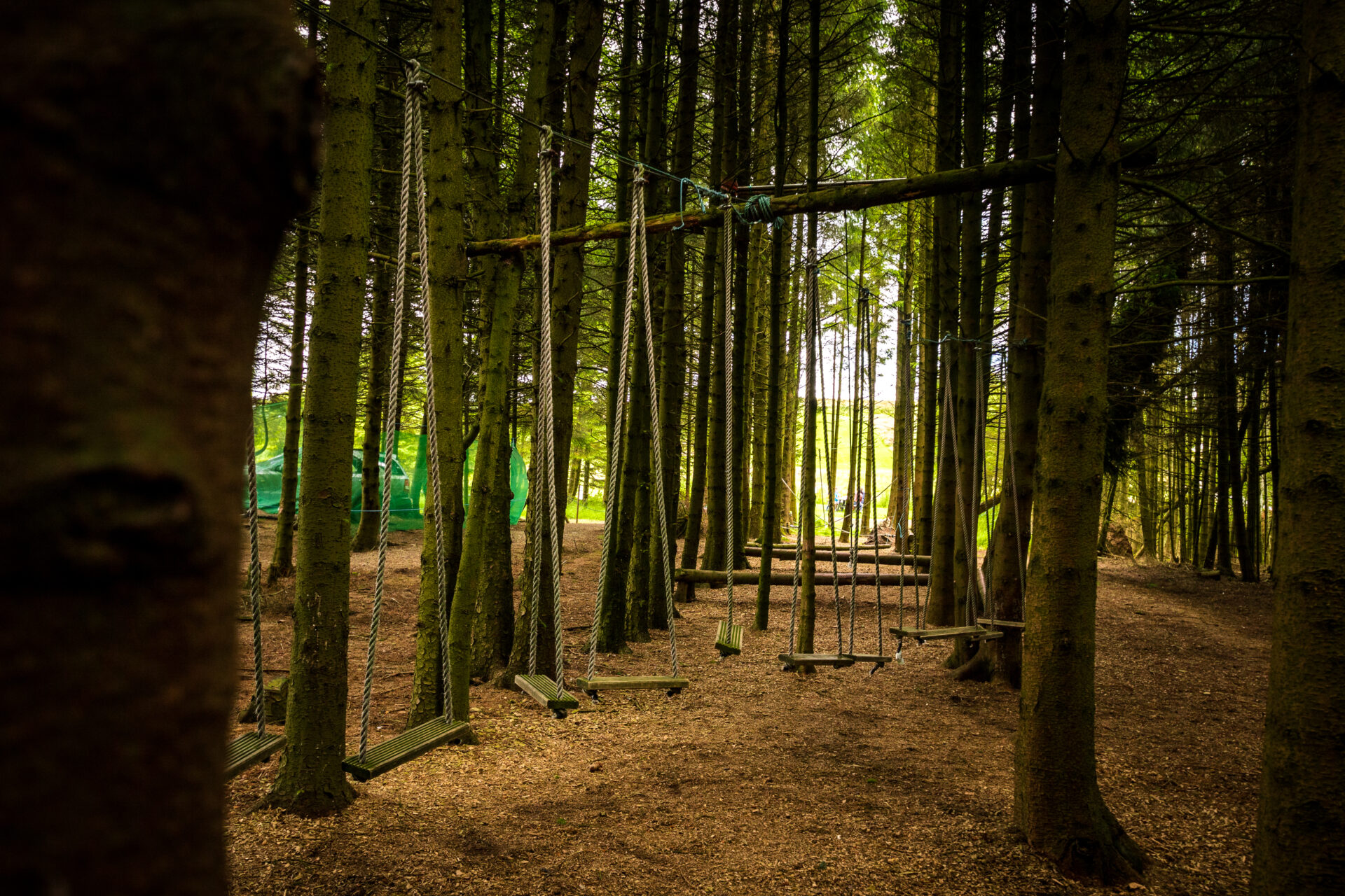 Woodland Games and Team Challenges - West Yorkshires ultimate outdoor ...